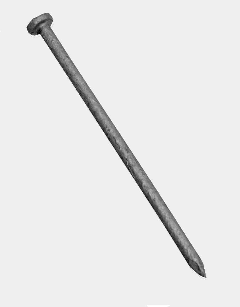 12d Galvanized Common Nails
